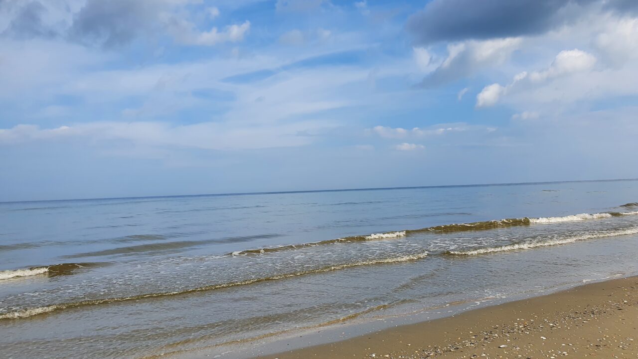 Webcam Live Delta Dunarii - Webcam Romania