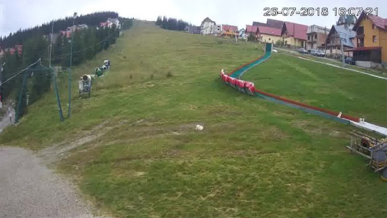 Webcam Live Pârtii de schi - Webcam Romania
