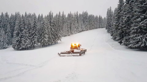 Webcam Partia Buscat Camere Live Partia Buscat