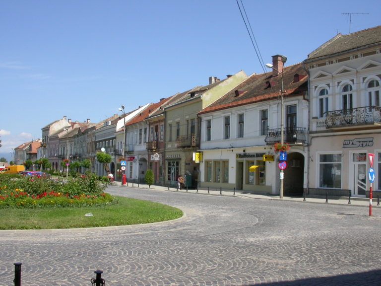 Webcam Live Cuib Barza - Imagini Live Cuib, Barza Bradet