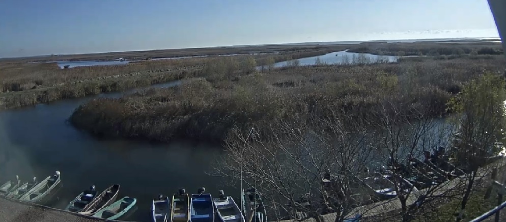 Webcam Lunca Delta Dunarii - Live Delta - Camera Live Tulcea