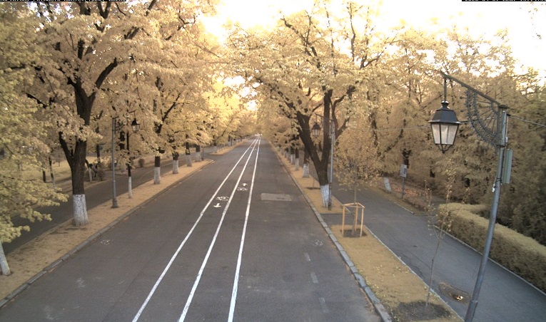 Webcam Pârtia Lobogo Băile Homorod - Live partia Lobogo